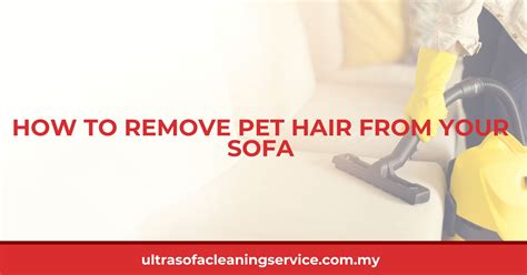 How To Remove Dog Hair From The Couch At Esther Parr Blog