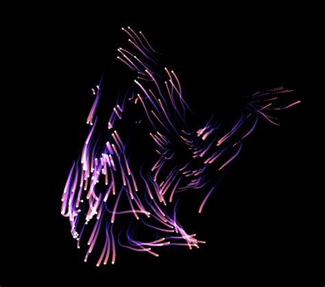 Muse More Flocking Generative Jewelry And Simulated Systems