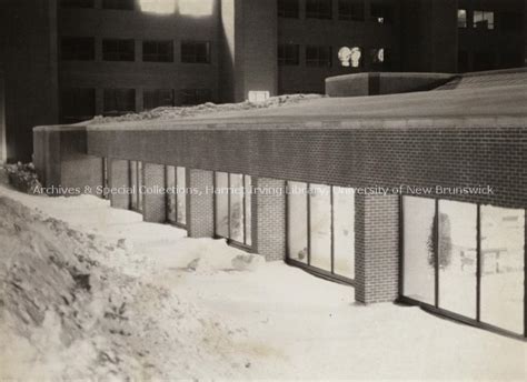Science And Forestry Library