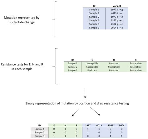 Predicting Drug Resistance In Mycobacterium Tuberculosis A Machine