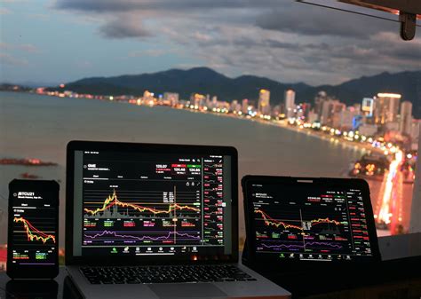Automating Success Navigating The World Of Forex Trading Robots