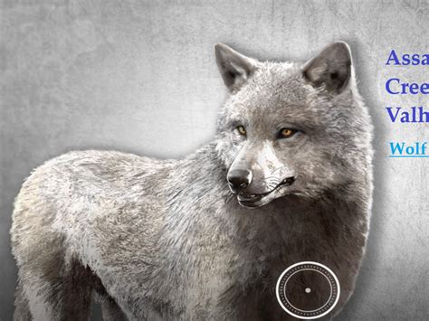 Assassins Creed Wolf Suit I Am The Only One Who Likes The Wolfs