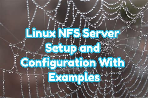 linux nfs server setup and configuration with examples poftut r poftut