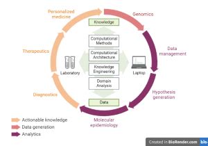 Bioinformatics Tools Software Databases Programmes Models