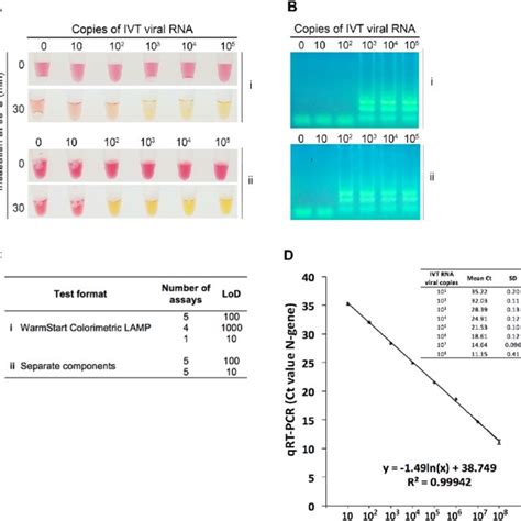 Limit Of Detection Of The Two Different Rt Lamp Formats And Of Rt Pcr