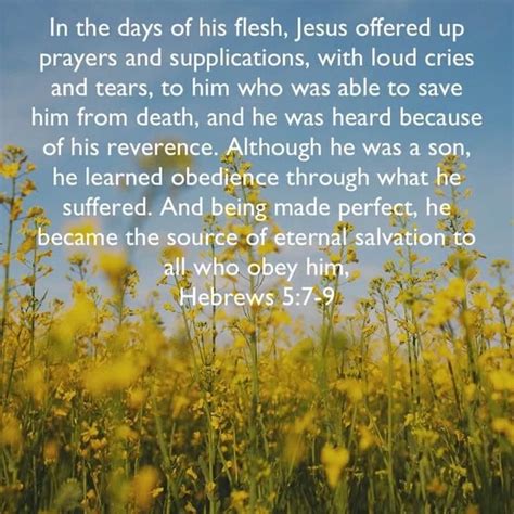 Psalm 23 4 Yea Though I Walk Through The Valley Of The Shadow Of Death