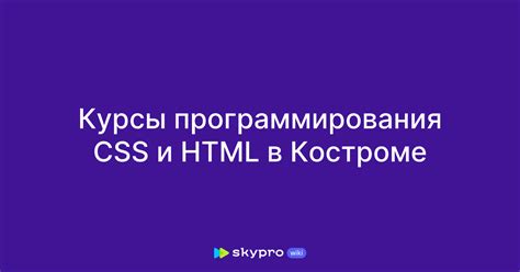 Курсы программирования Css и Html в Костроме