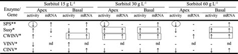 Regulation Of Sucrolytic Enzyme Activities And Transcript Level Mrna Download Scientific