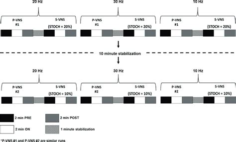 Detailed Schematic Of The Experimental Vns Protocol Standard P Vns Or