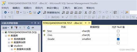 Sql Server语言：数据库安全性操作一sqlserver中安全性在哪 Csdn博客