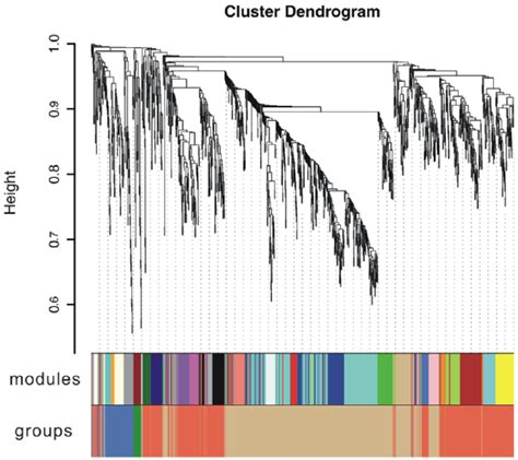 hierarchical clustering results of the differentially expressed tus