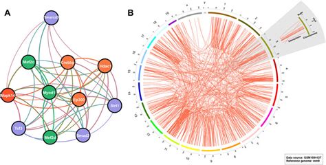 Different Visualizations Of Gene Regulatory Networks A The