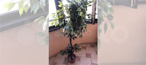 Искусственное дерево в горшке купить в Москве | Товары для дома и дачи ...