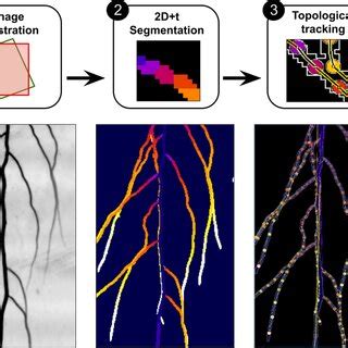 Processing Pipeline Overview Upper Line Pipeline Steps Bottom Line Download Scientific