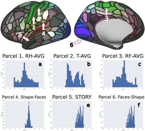 Glasser Et Al 2016 Parcellation Upper And Histograms Of Z Score
