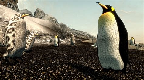 Fill Skyrim With Penguins Using This Mod Pcgamesn