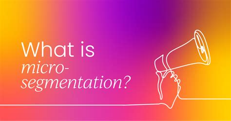 What Is Micro Segmentation In Marketing