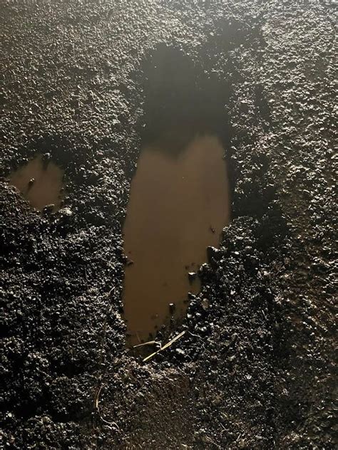 Devon Pothole Hell Sees Dad Fear For Daughters Life Devon Live