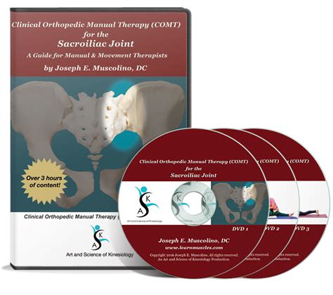 Xiphisternal Joint