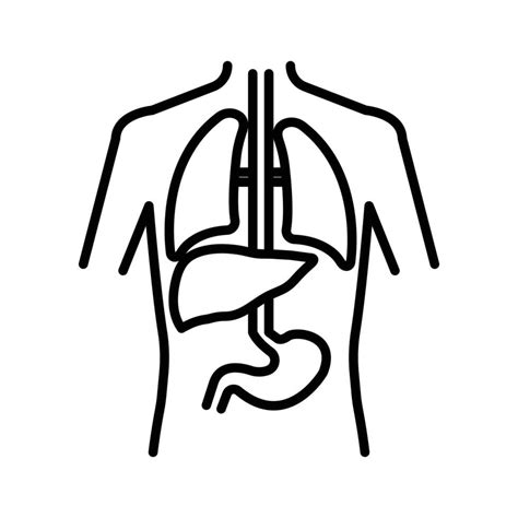 Human Body Png Black And White