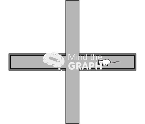 Free Elevated Plus Maze Overhead Superior Icons Symbols Pictures And