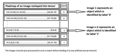 Glimpse Of How The Preprocessed Data Looks Like Download Scientific Diagram