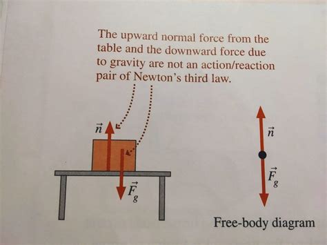 Newtons Third Law Diagram Ygraph