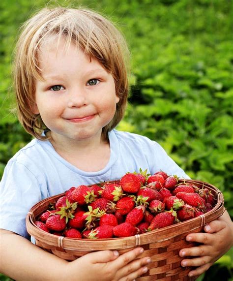 Pin By Just Dreamin On Strawberry Farm Strawberry Plants Strawberry