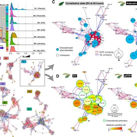 Msms Structural Classification And Metabolic Specificity Information
