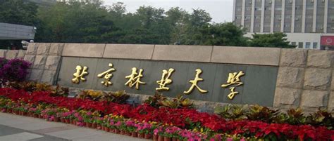 年北京林业大学录取分数线青海最低 分