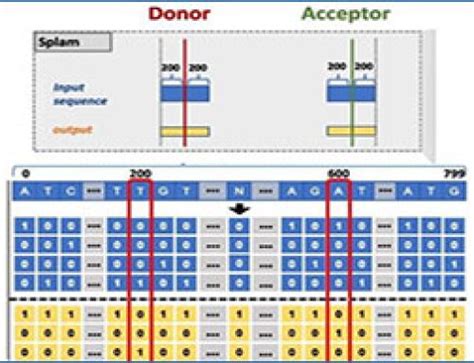 ARH Seq Identification Of Differential Splicing In RNA Seq Data RNA Seq Blog