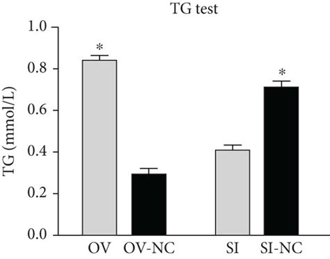 Genetic Impact Of Pyruvate Kinase Lr On The Process Of De Novo