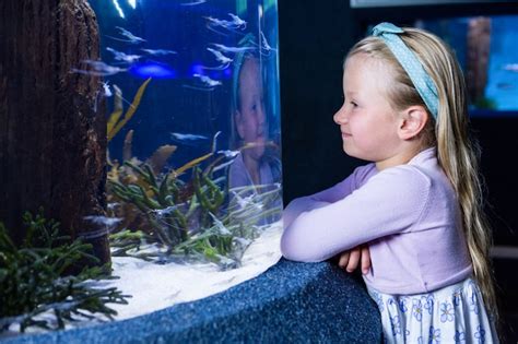 Premium Photo Happy Young Woman Looking At Fish