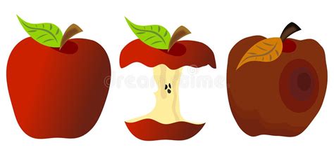 Rotten Food Stock Illustrations 2663 Rotten Food Stock Illustrations