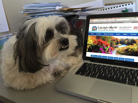 Marla Simon Lifestylesnorth