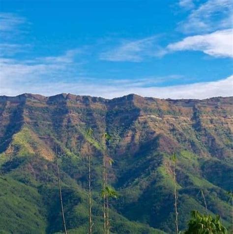 Paletwa ချင်းပြည်နယ် ၊ပလက်ဝမြို့