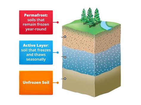 Permafrost Diagram Labelled Diagram