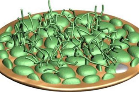 Electrolyte Additives Prevent Fires In Next Generation Lithium