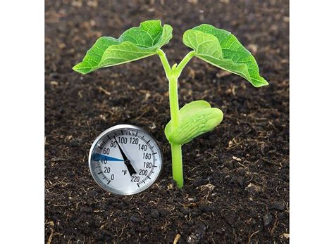 Soil Temperature For Optimal Plant Growth