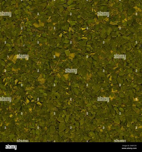 Texture Grass And Soil Seamless Texture Grass Stock Photo Alamy
