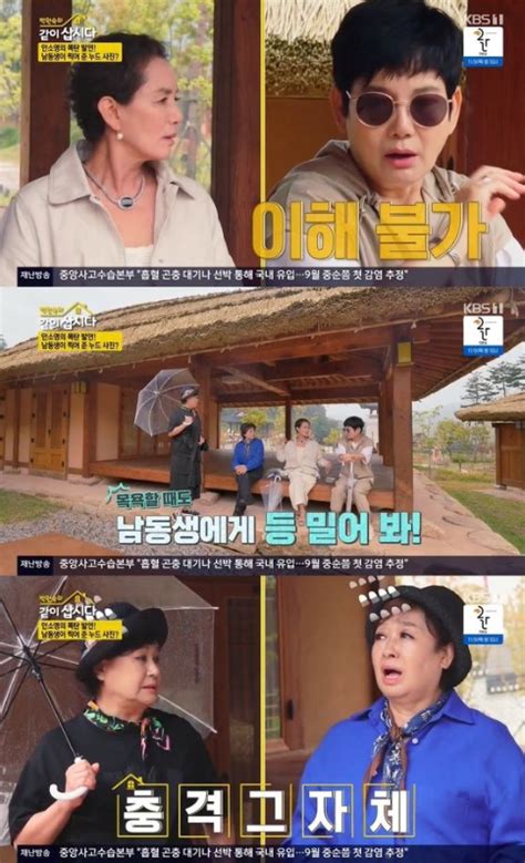 ‘애마부인 안소영 남동생이 누드사진 찍어줘목욕할 때 등도 밀어준다” 세계일보