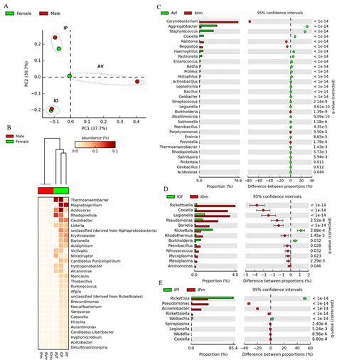 Comparison Of Taxonomical Profiles In The Gut Microbiota Of Avf Avm Download Scientific