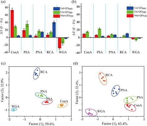A B Fluorescence Response Patterns Of The Fluorescent Array Against Download Scientific
