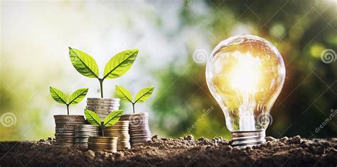 Planta Que Cresce Em Moedas E Na Ampola Dinheiro Da Economia Do