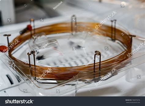 What Is Capillary Column Gas Chromatography At Yolanda Johnson Blog