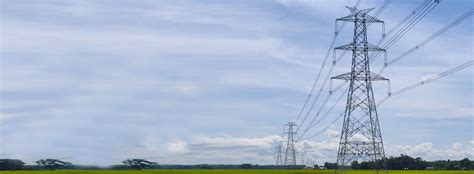 ner ii transmission limited ner ii india grid