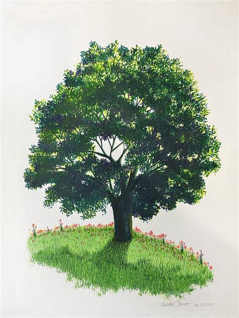 Incredible Collection Of Full 4k Tree Drawing Images Over 999