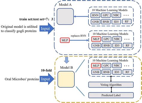 The Flowchart Of Oralvotingtransfer Model Download Scientific Diagram