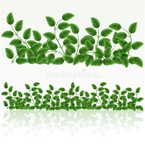 Grass Border Stock Vector Illustration Of Outline Spring 24601732