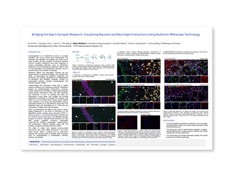 Visualizing Neurexin And Neuroligin Interactions Rnascope Technology